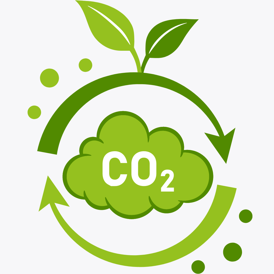 PARSUS – Ciclo de Vida